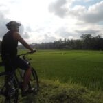 Countryside Bike Ride to Golong Village and Lingsar Temple - Key Points