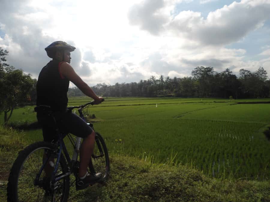 Countryside Bike Ride to Golong Village and Lingsar Temple - Key Points