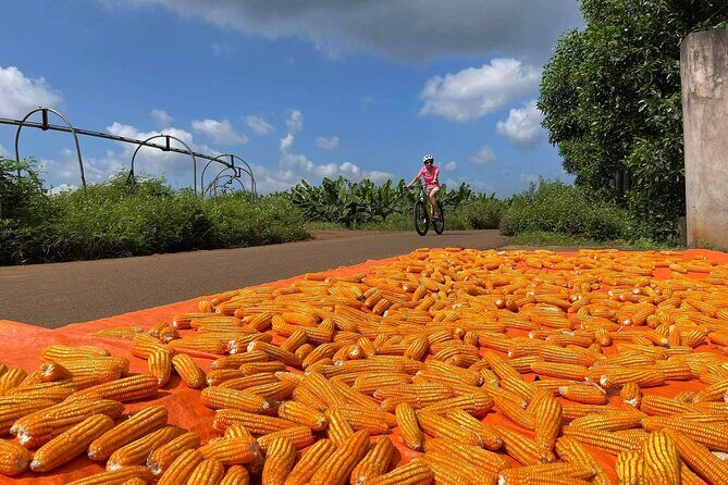 Countryside Biking Experience: Phu My Port - Vietnam - What Makes This Tour Stand Out