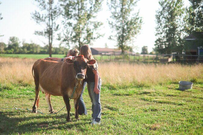 Cow Cuddles Moo Moo Bovine Therapy - Practical Details: What to Expect
