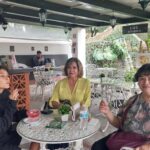 Coyoacán: A Tour of Coyoacán's Cinema, Arts, and Culture - The Watercolor Museum: Artistic Serenity