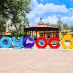 Coyoacan Bohemian Food and History Walk - Who Will Love This Tour?