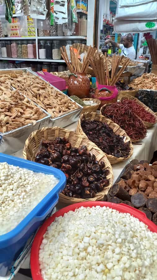 Coyoacán: History and Life of a Magical Neighborhood - Exploring the Itinerary in Detail