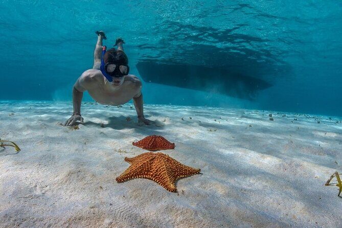 Cozumel 3 Reefs Snorkel - A Detailed Look at the Tour Experience