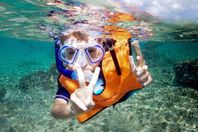 Cozumel 4-Hour Private Trip to Heaven - Final Thoughts: Is This the Right Choice for You?