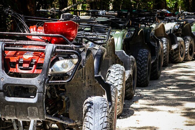 Cozumel ATV Jungle Adventure to Jade Cavern Cenote - What Travelers Are Saying