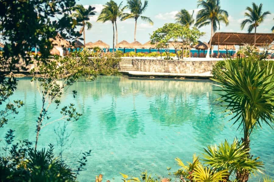 Cozumel: Chankanaab Park All-Inclusive Experience with Pool - Pool and Relaxation Time