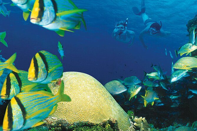 Cozumel El Cielo Reef Snorkel with Round Transportation - Who Should Consider This Tour?