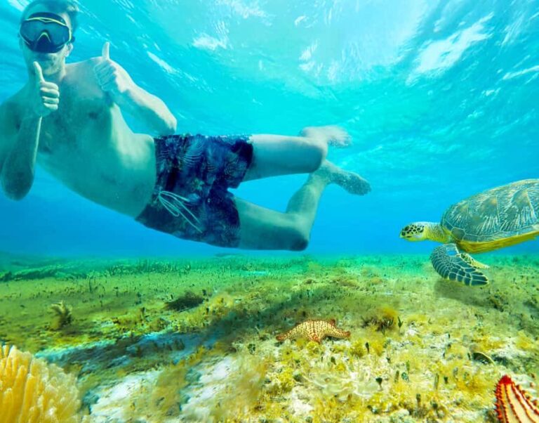 Cozumel: KUZÁ Day Pass, Buffet, Open Bar & El Cielo Snorkel - The Snorkeling Adventure: Columbia & Palancar Reefs