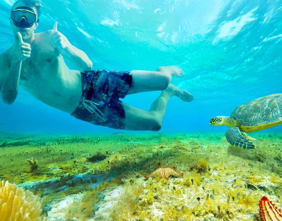 Cozumel: KUZÁ Day Pass, Buffet, Open Bar & El Cielo Snorkel - The Snorkeling Adventure: Columbia & Palancar Reefs