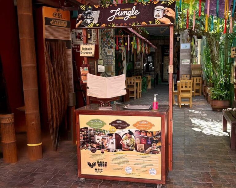 Cozumel: Mayan Chocolate Workshop & Tequila Tasting - Practical Details and What to Expect