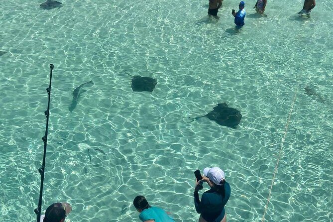 Cozumel Private El Cielo and Fishing Charter - Reeling in More Catches and Relaxing