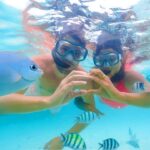 Cozumel: Private Snorkel Experience at Skyreef Beach Club - The Value of This Tour