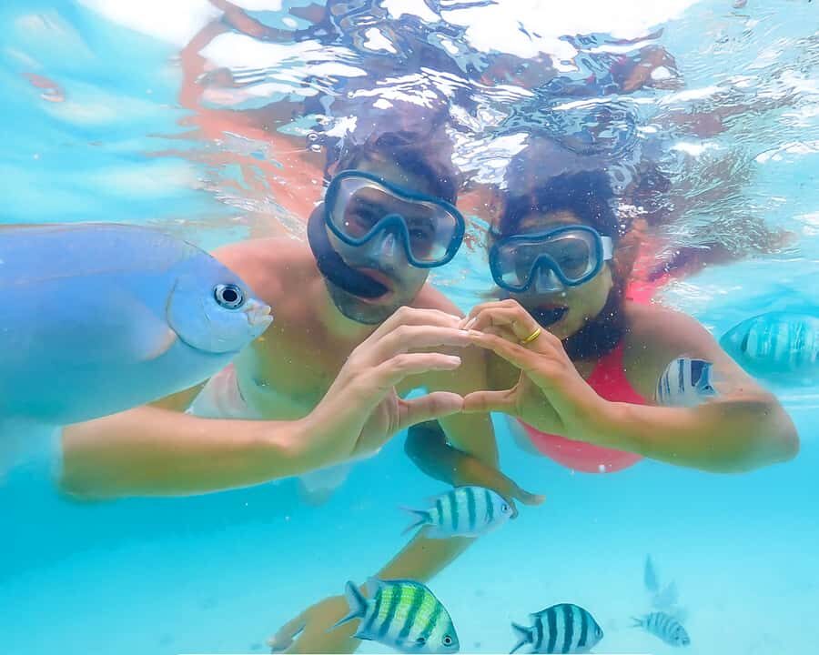 Cozumel: Private Snorkel Experience at Skyreef Beach Club - The Value of This Tour