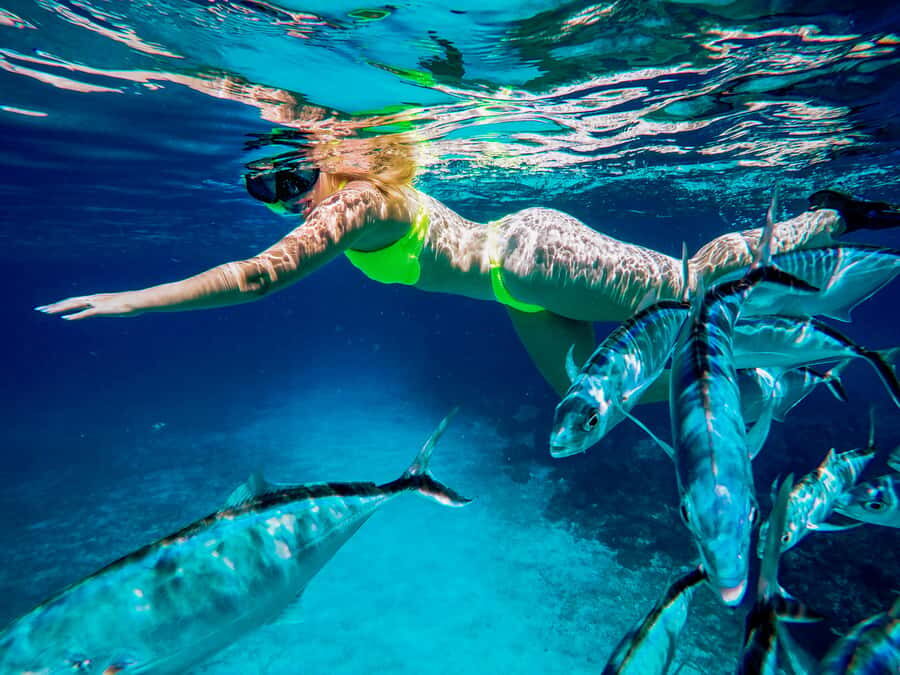 Cozumel: Starfish, Rays and El Cielo Snorkeling Experience - What Travelers Say