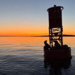 Crescent Beach: Sunset Wildlife Cruises in BC - Who Should Consider This Tour?