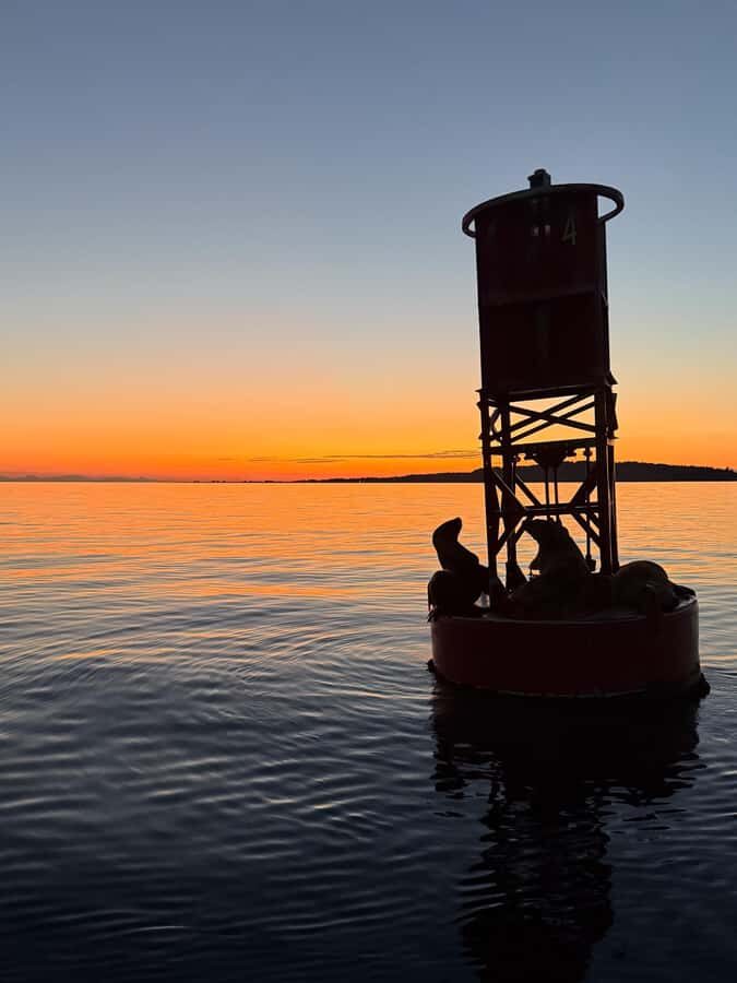Crescent Beach: Sunset Wildlife Cruises in BC - Who Should Consider This Tour?