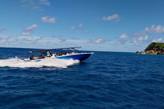 Cristal Half Day Friendly Island Snorkeling Tour - Analyzing the Value