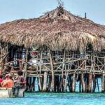 Crocodile Safari/Pelican Bar Combo. - Final Thoughts: Value and Authenticity