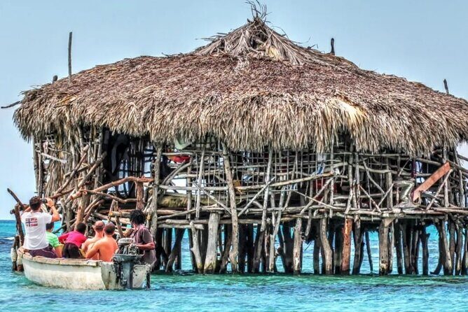 Crocodile Safari/Pelican Bar Combo. - Final Thoughts: Value and Authenticity