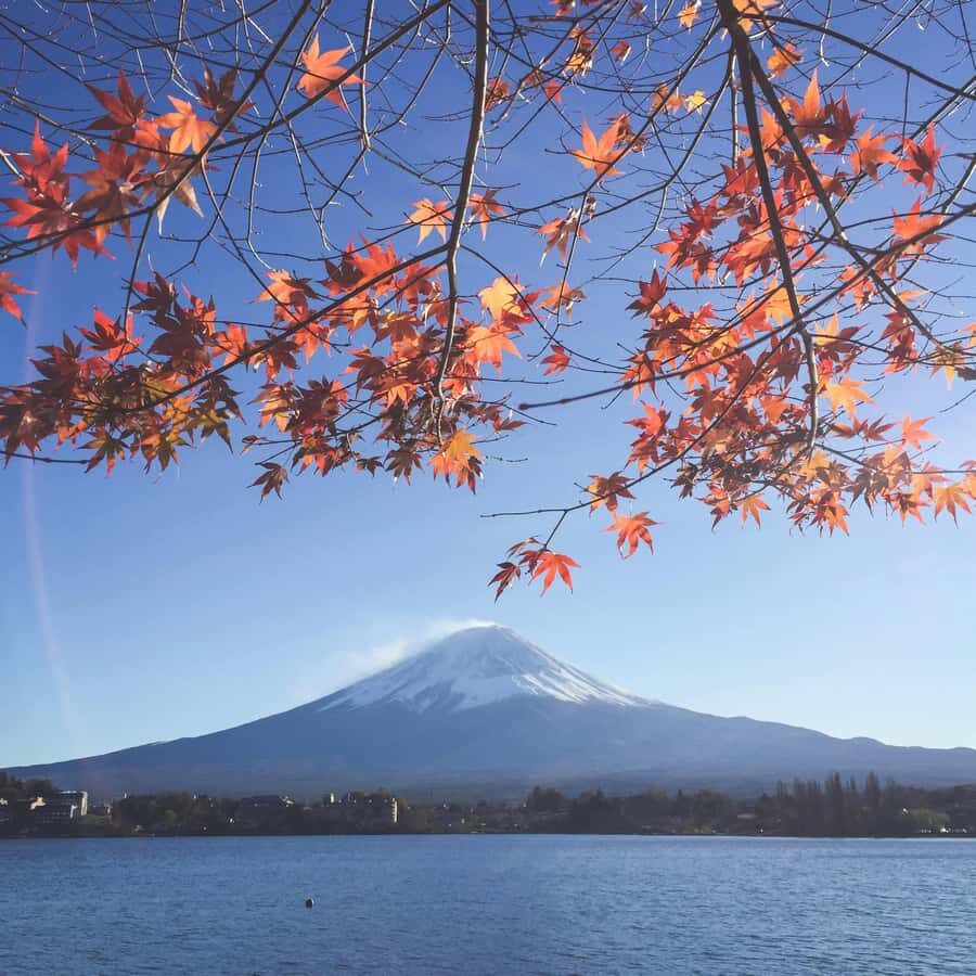 Crowd-Free Hidden Spots - Mt.Fuji Private Luxurious Car Tour - The Itinerary: A Deep Dive