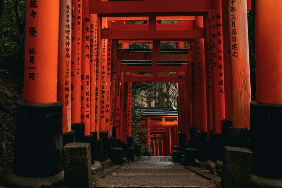 Crowd-Free Kyoto: Fushimi Inari, Nijo Castle & Kinkaku-ji - Practical Details and Value