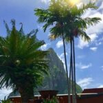 Cruise Port and Airport Arrival Transfers to Hotels in St. Lucia. - The Value Proposition