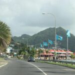 Cruise Ship - On Island for a Day Excursion - Who Should Consider This Tour?