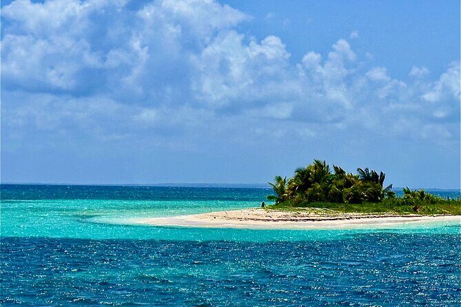 Cruise to the Grand Ass DE Sac in an open air aquarium - Lunch and Relaxation: Authentic Creole Flavors