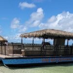 Cruisin Tikis Shell Island Big Kahuna Beach and Snorkel Cruise - Why This Tour Might Be Perfect for You