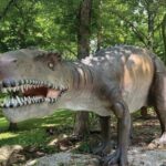 Crystal Cave Dino Trail - What Makes It Stand Out?