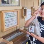 Crystal Gold Mine Tour With Motherlode Combo Deal - What We’ve Heard from Visitors