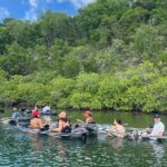 Crystal Kayak & Snorkel Eco Tour (with transfer) - The Experience: Pros and Cons
