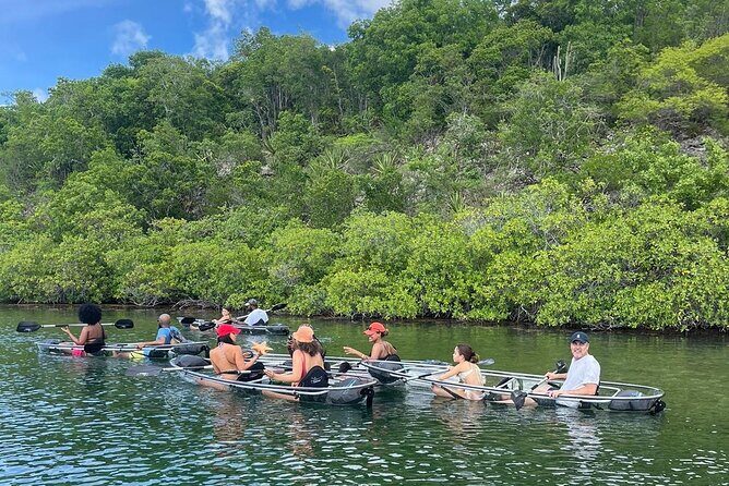 Crystal Kayak & Snorkel Eco Tour (with transfer) - The Experience: Pros and Cons