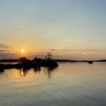 Crystal River: Backwater Adventure on an Airboat - Who Will Love This Tour?