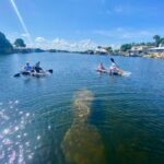 Crystal River: Clear Kayak Manatee & Springs Tour - Who Should Consider This Tour?