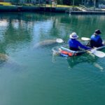 Crystal River Florida: Clear Kayak Guided Manatee Eco-Tour - Who Should Book This Tour?