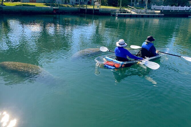Crystal River Florida: Clear Kayak Guided Manatee Eco-Tour - Who Should Book This Tour?