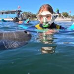 Crystal River: Guided Manatee Tour Heated Boat Free Photos - The Itinerary in Detail
