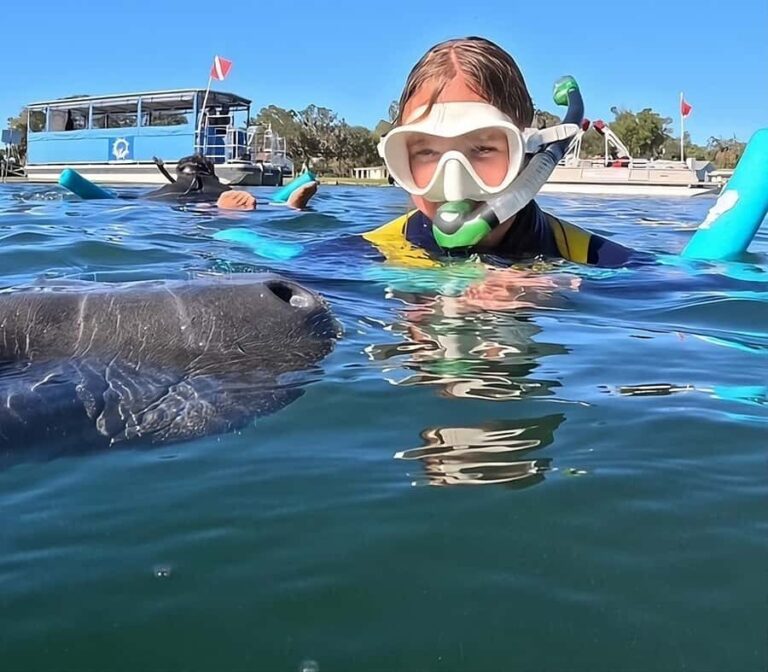 Crystal River: Guided Manatee Tour Heated Boat Free Photos - The Itinerary in Detail