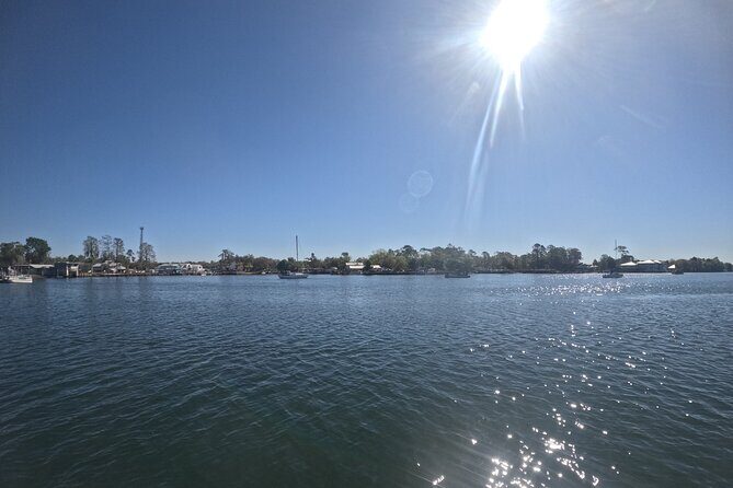 Crystal River: Kings Bay Eco/Sunset Tour - Authentic Experiences and Traveler Feedback