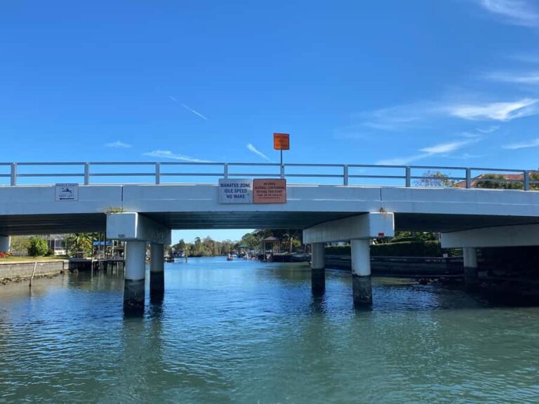 Crystal River: Manatee Eco-Tour Boat Ride - An In-Depth Look at the Tour Experience
