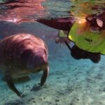 Crystal River: Manatee Swim Small Group, VIP or Private Tour - Who Would Enjoy This Tour?