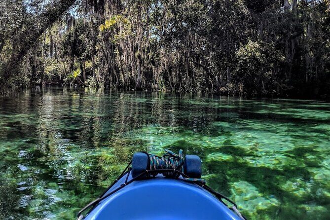 Crystal River Tandem Kayak Rental | 4 Hour | See The Manatees! - The Experience in Detail