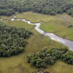 Crystal River: Wildlife Boat Tour with Naturalist Guide - The Experience in Detail