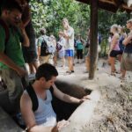 Cu Chi Tunnels and Mekong Delta Small Group/ Private Group - Who Will Enjoy This Tour?