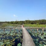 Cu Chi Tunnels and Tan Lap Floating Village Day Tour - The Scenic Journey to Tan Lap Floating Village