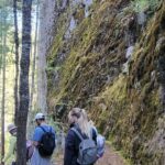 Cuajimoloyas Private Hiking Bushwalking Oaxaca Adventure - Authentic Reviews: What Other Travelers Say