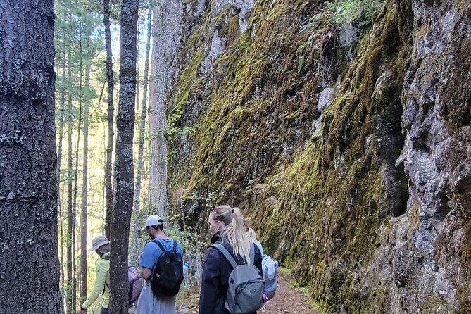 Cuajimoloyas Private Hiking Bushwalking Oaxaca Adventure - Authentic Reviews: What Other Travelers Say