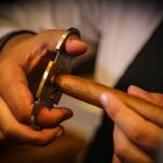 Cuban Cigar and Rum Tasting Experience - The Experience Breakdown: What to Expect